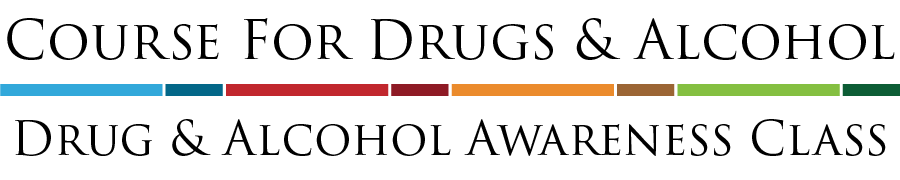 Course For Drugs & Alcohol | California